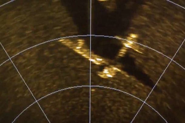 Missing Aircraft Found Submerged In California Lake Mentour Pilot