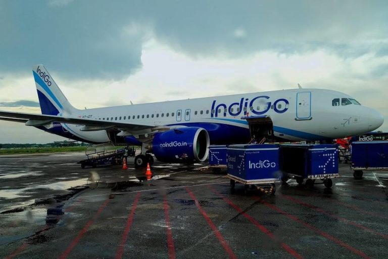 INCIDENT: Reluctant Cargo Hold Stowaway Flies In A320! - Mentour Pilot