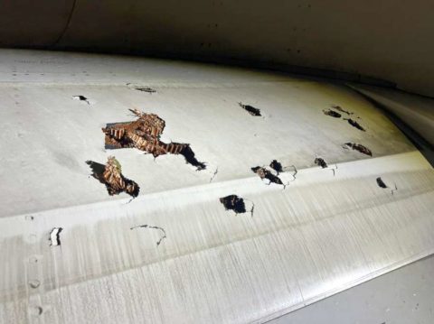 ACCIDENT: 787 Suffers Extensive Hail Damage - Mentour Pilot