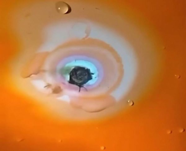 ACCIDENT: Lightning Strikes Cause 787 Skin Damage - Mentour Pilot