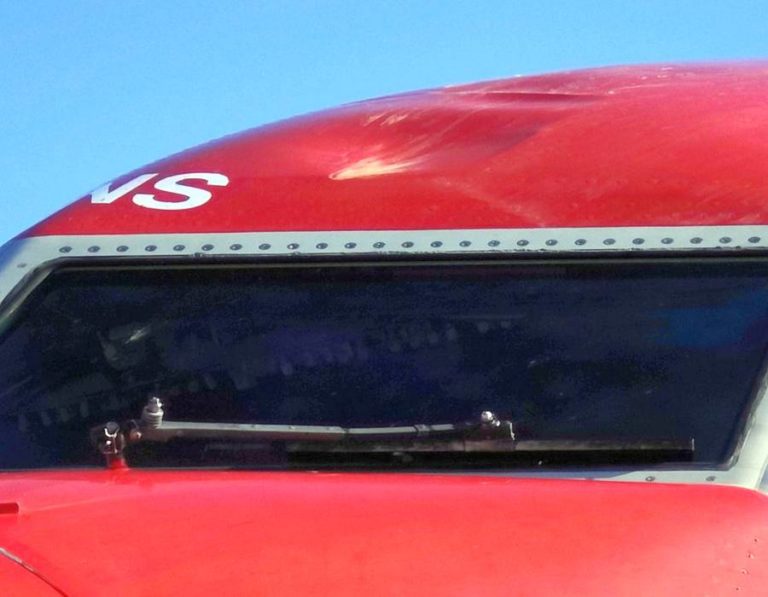 INCIDENT: 737 Fuselage Dent From Bird Strike! - Mentour Pilot