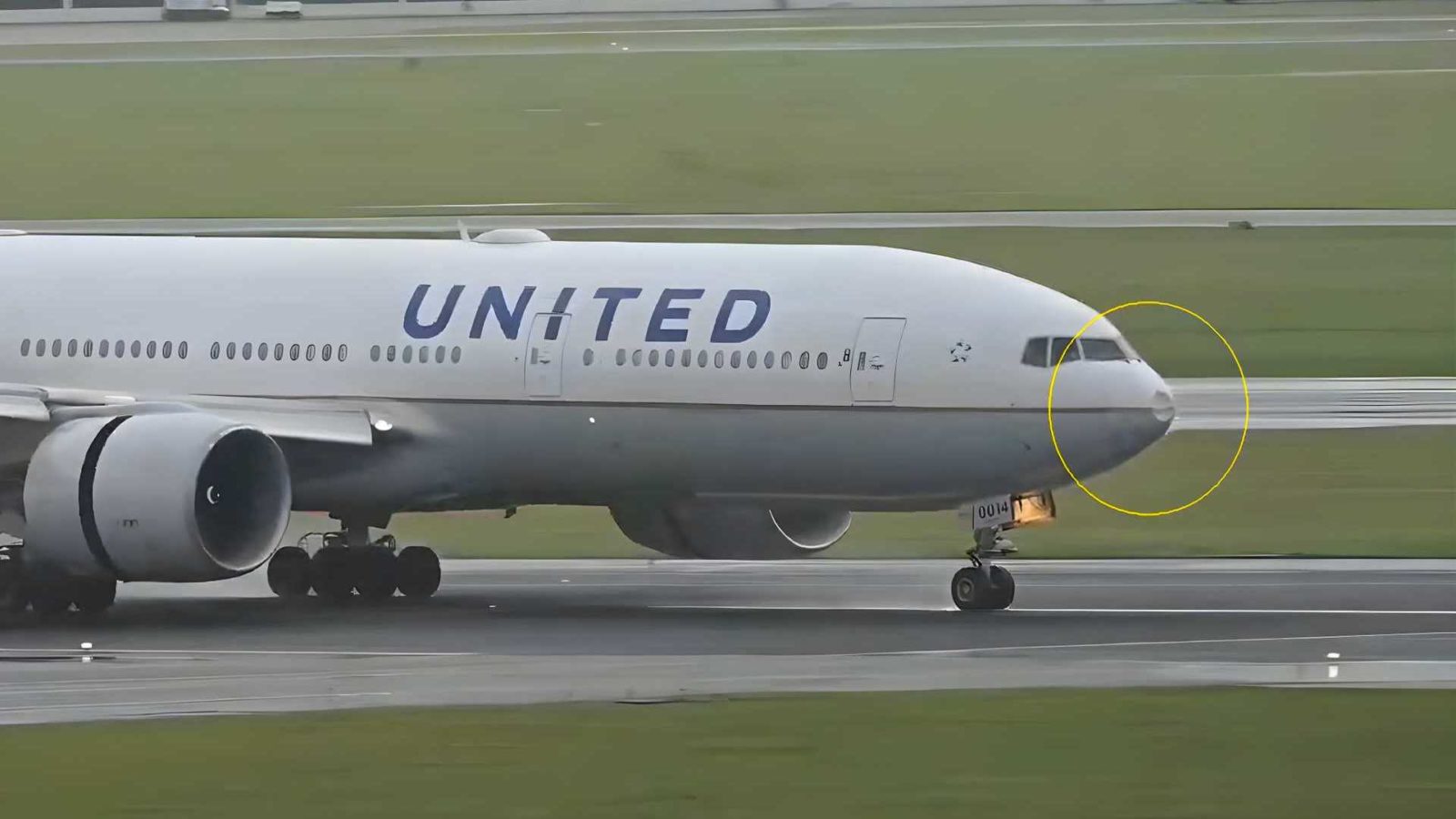 INCIDENT: United 777 Suffers Bird Strike On Radome - Mentour Pilot