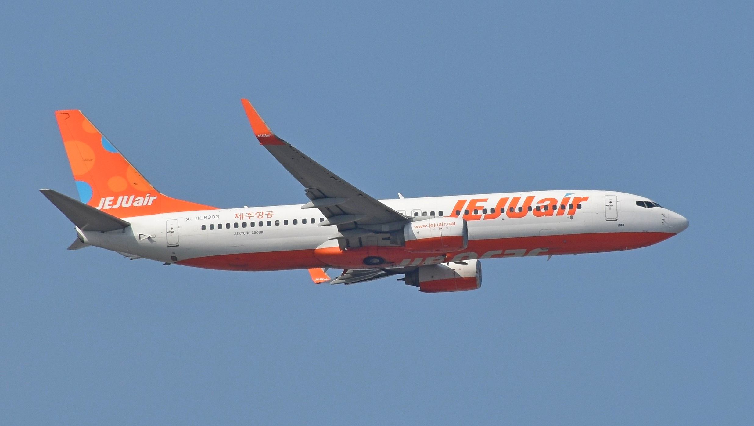 CRASH: Jeju Air 737 Bursts Into Flames After Runway Overrun - Mentour Pilot